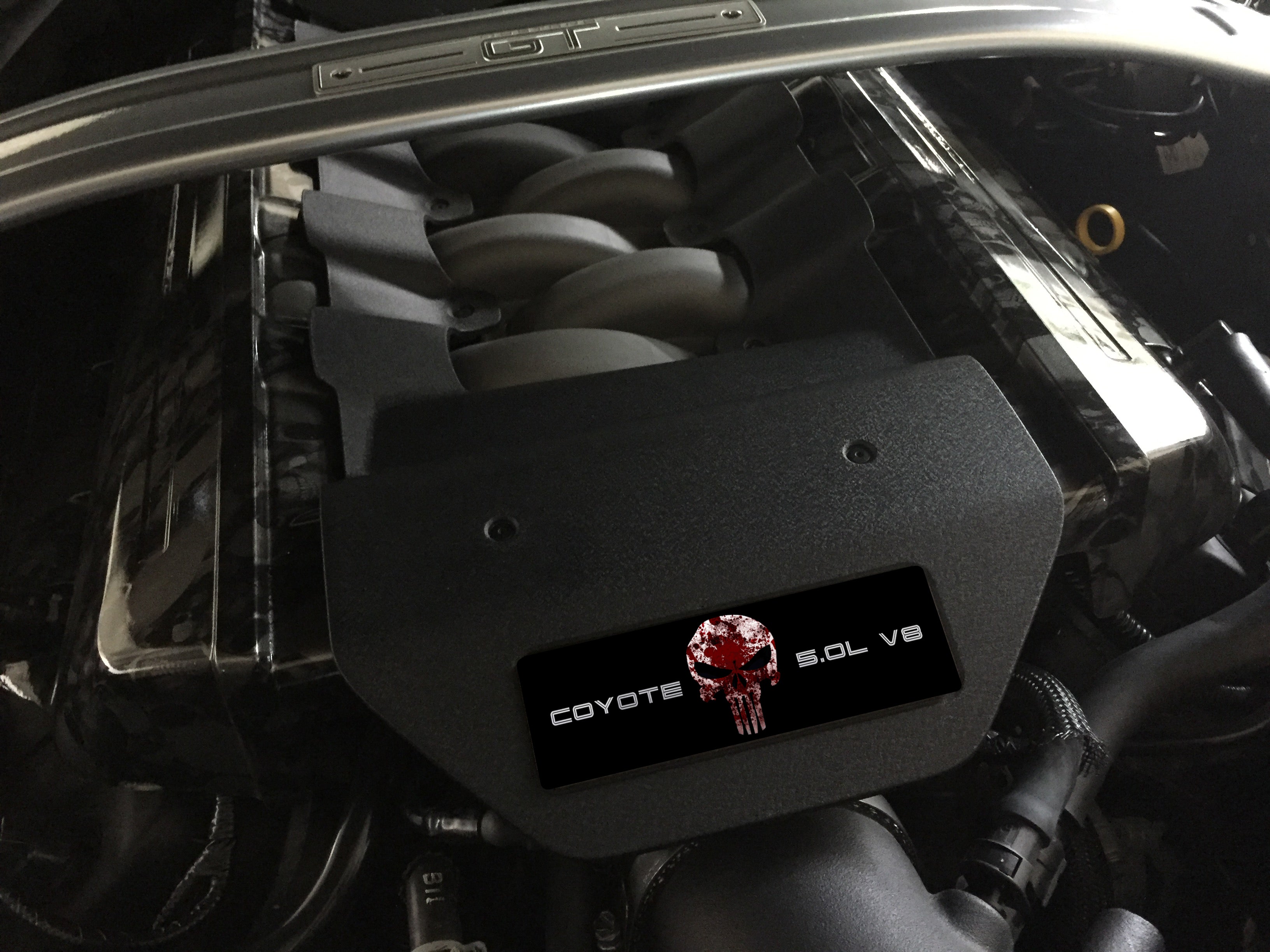 Aluminum Engine Cover Plate [S15] Punisher Blood (2015-2017 Mustang ...