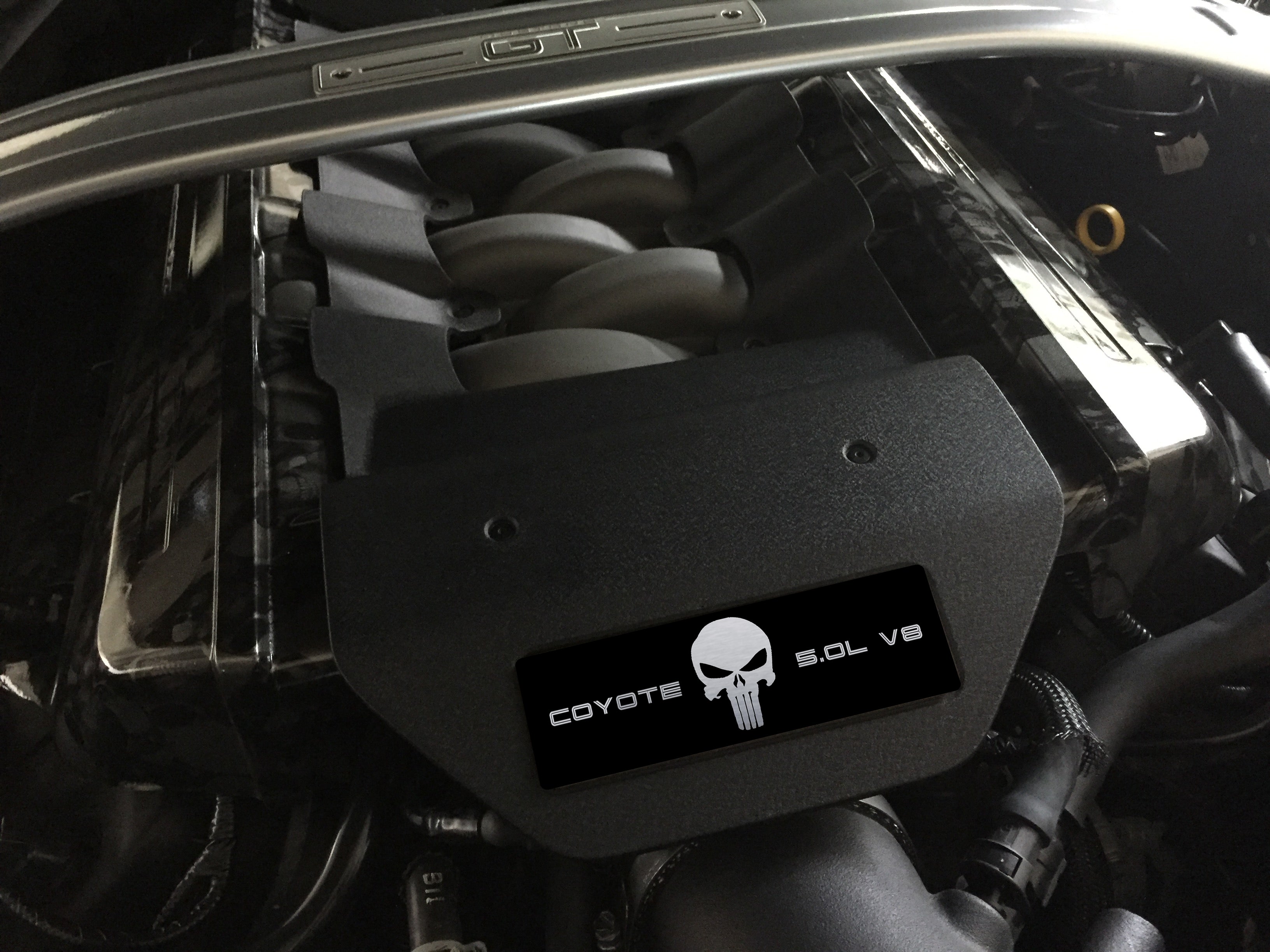 Aluminum Engine Cover Plate [S17] Punisher Silver (2015-2017 Mustang ...